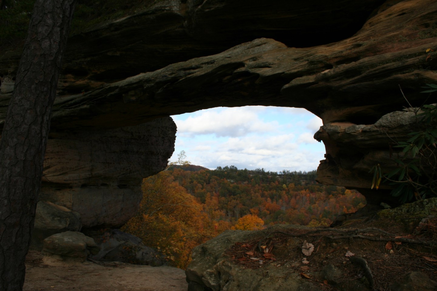 Kentucky’s Red River Gorge | Todd the Hiker