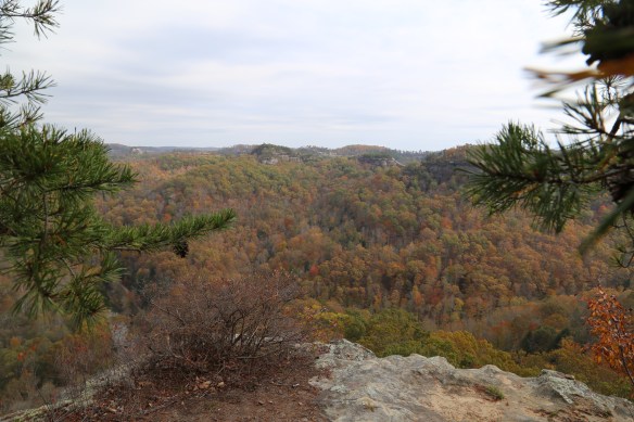Red River Gorge – Off-Trail | Todd the Hiker