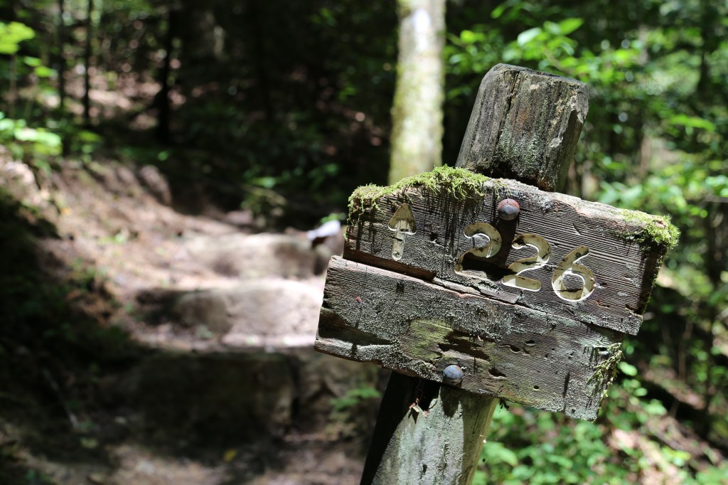 How to Not Get Lost on the Trail | Todd the Hiker